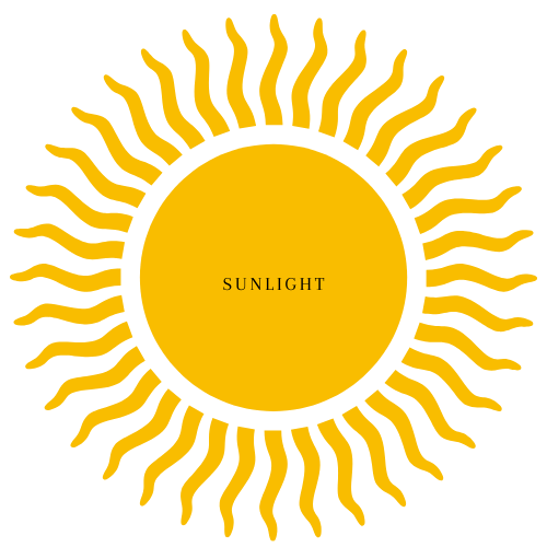 SUNLIGHT – WisdomNow4Life